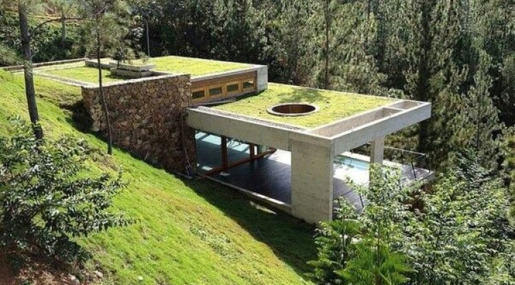 Rumah dengan Atap Hijau: Manfaat dan Kelebihannya - Funproperty Blog ...